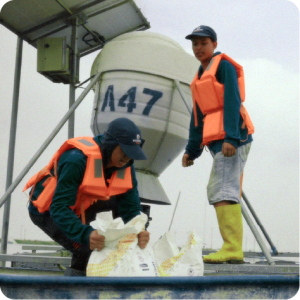 Nosotros – Diosmar