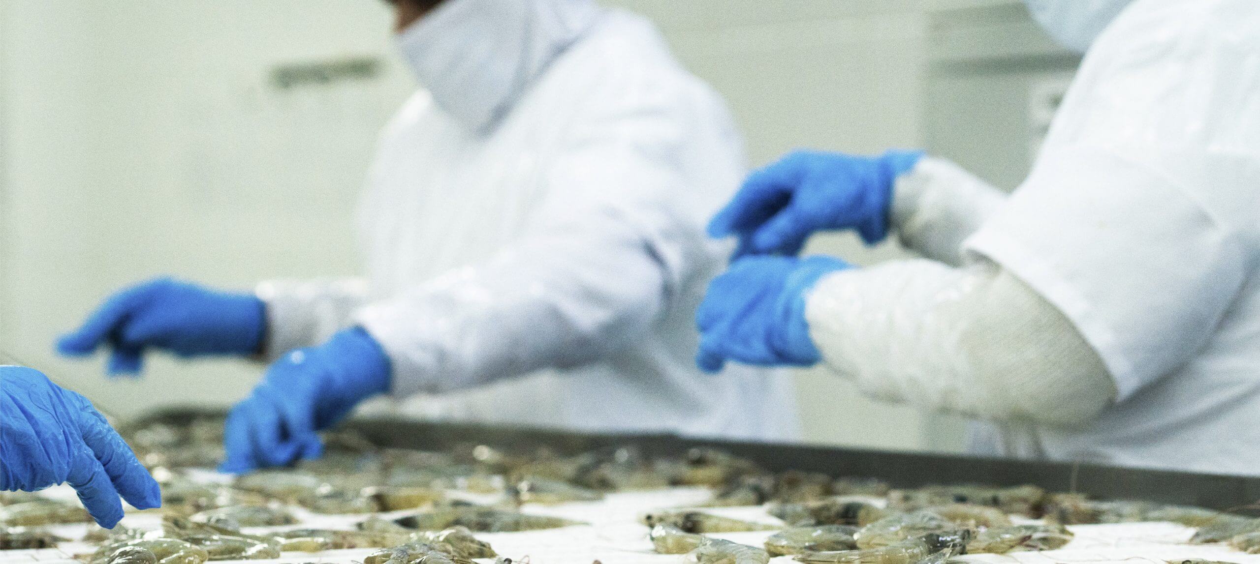 Productos – Diosmar